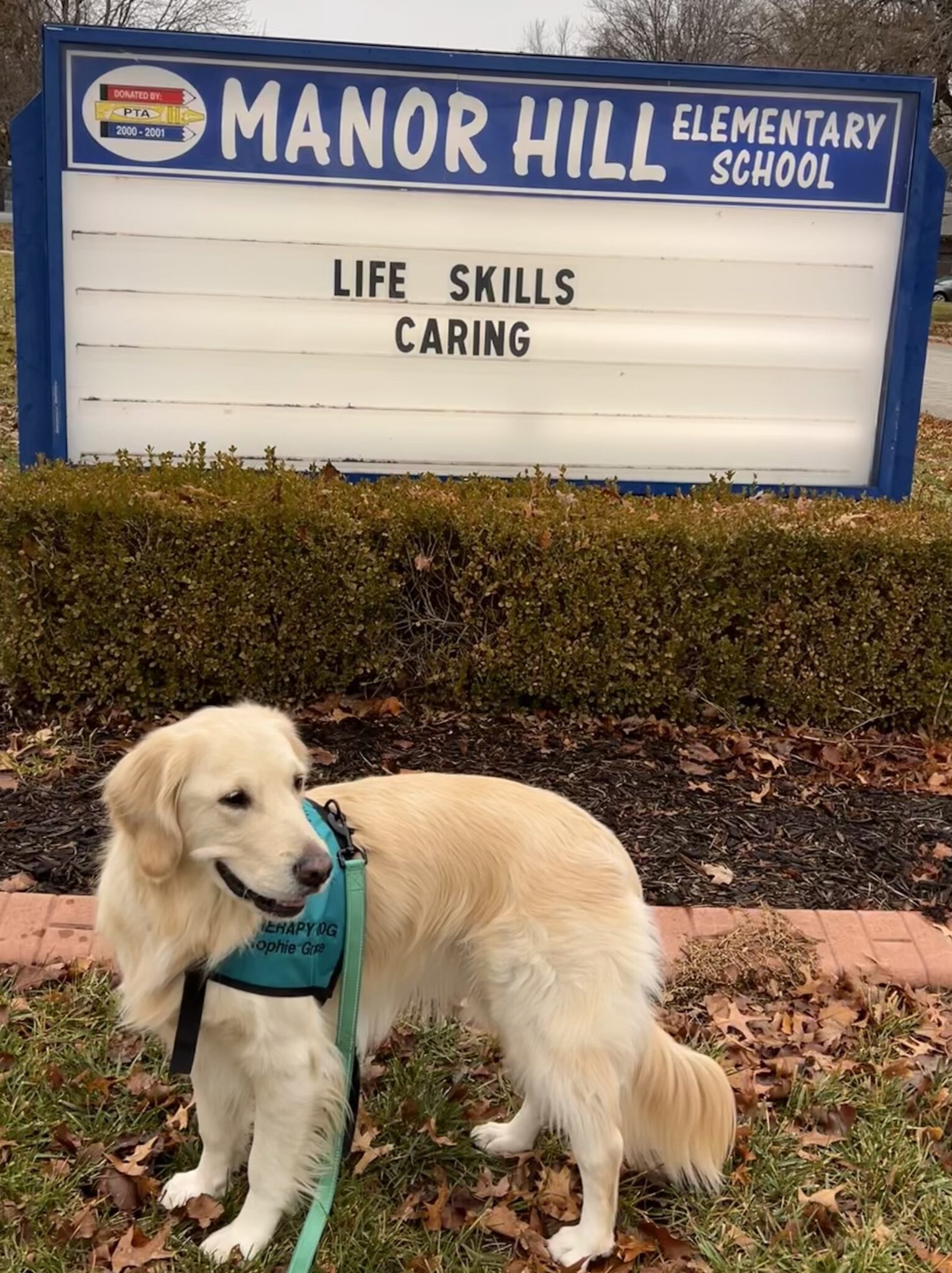 Animal Therapy in Kansas City | Touching Lives | Mo-Kan Pet Partners