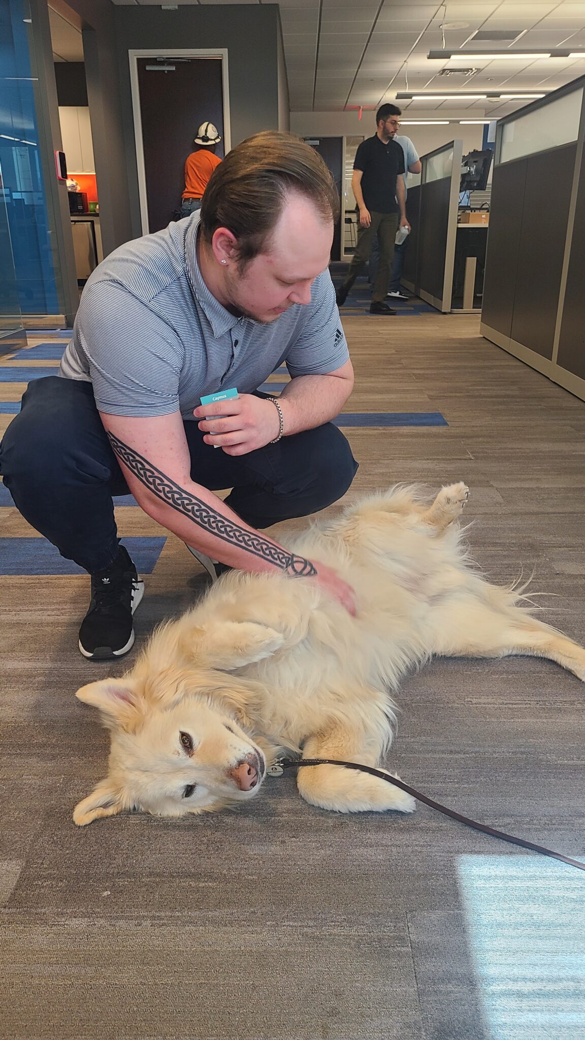 Animal Therapy in Kansas City | Touching Lives | Mo-Kan Pet Partners